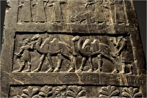 Verloren Oudheid | De opkomst van het Perzische Rijk - Deel 1 - Sargasso