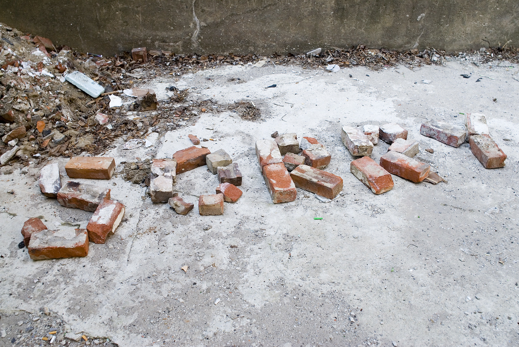 Excuses: de lijm voor sociale relaties? - Sargasso