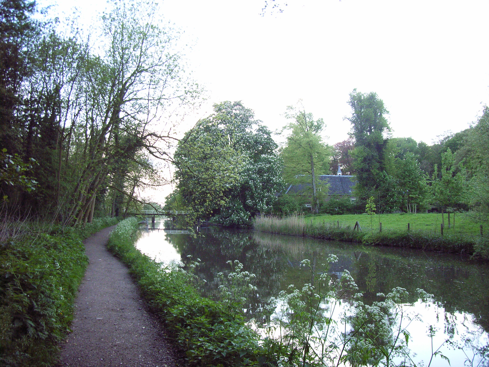 Het jaar van de waarheid voor Amelisweerd? - Sargasso